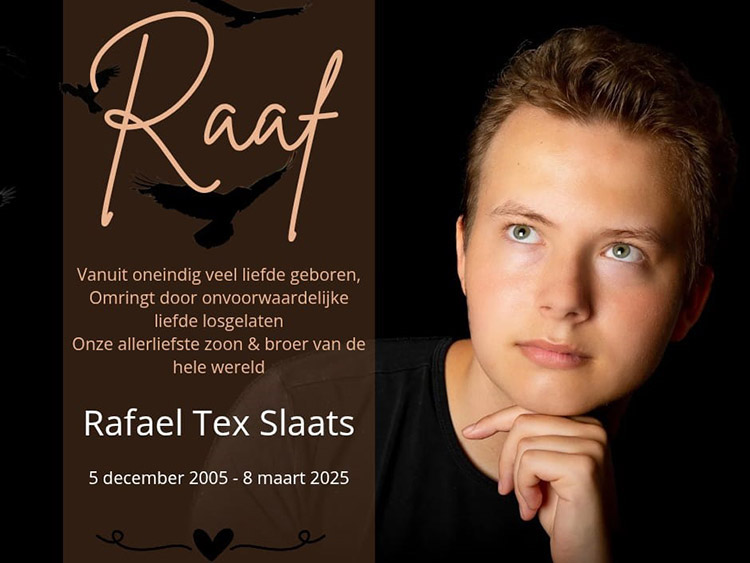 Liefde is alles - Alles is liefde